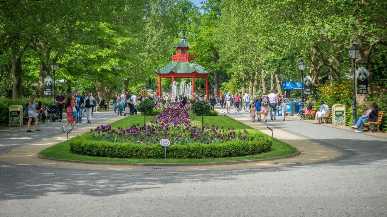 Visit the Berlin Zoo